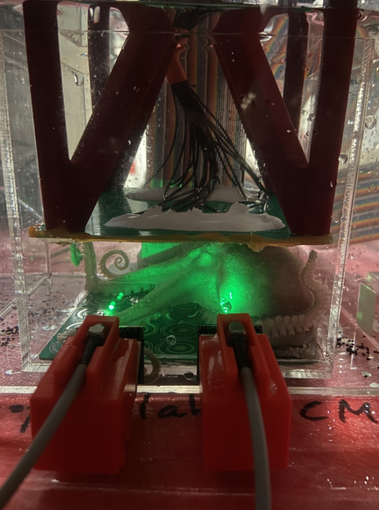 2025 – WI Methods Lab